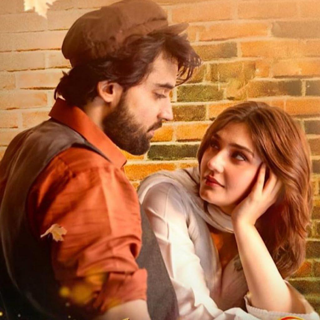Best Romantic Pakistani Dramas We Loved in 2024